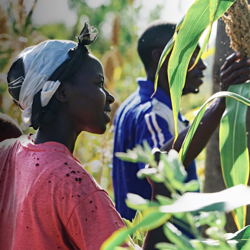 Baptist World Aid Australia - Be Love, End Poverty