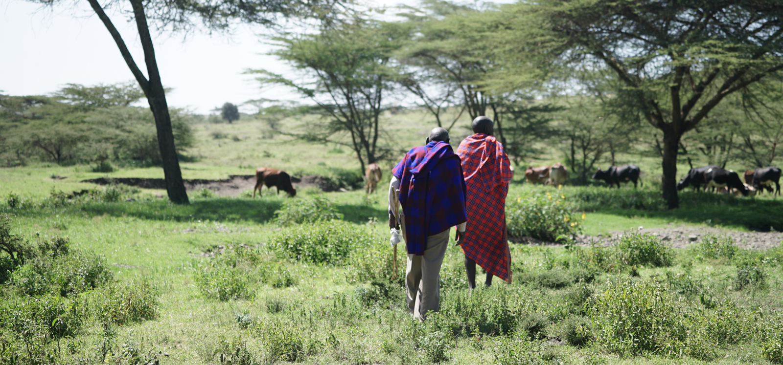 Let Your Faith Guide You - Baptist World Aid Australia