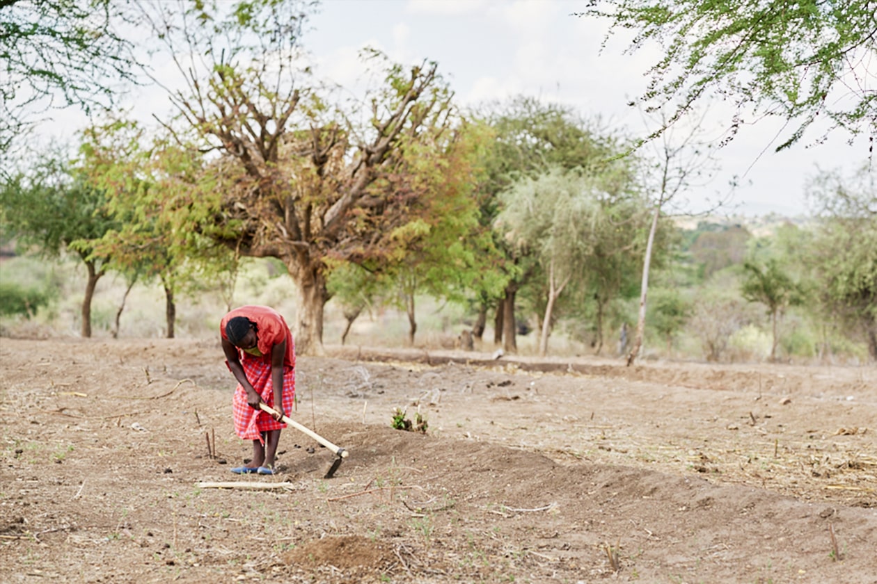 Hunger Crisis Appeal - Baptist World Aid Australia